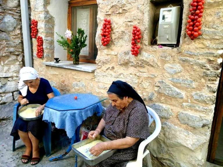 Σεργιάνι στα αρωματικά μονοπάτια της μαστίχας και στην ετήσια Γιορτή ...