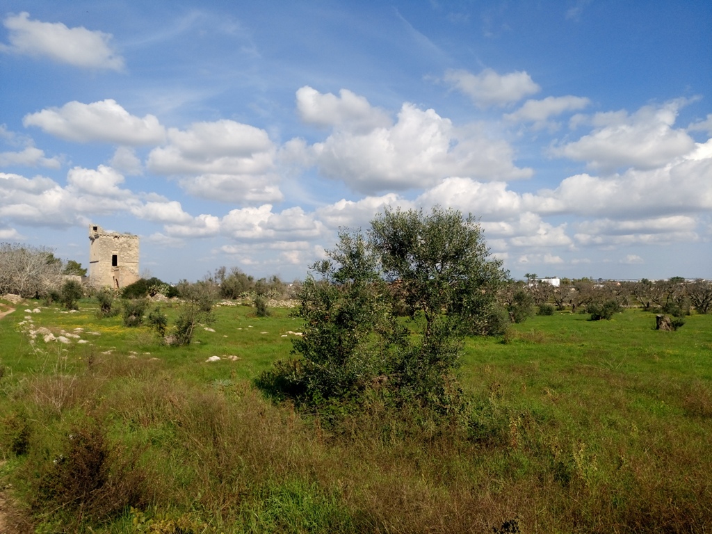 Racale, ένα γοητευτικό ψηφιδωτό πολιτισμού, ιστορίας και φυσικού ...