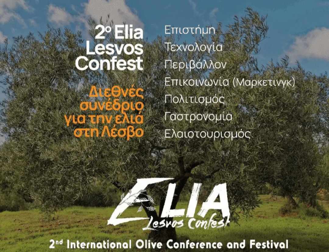 Ελαιοτουρισμός, αιχμή του δόρατος για το μέλλον του Γαστρονομικού ...
